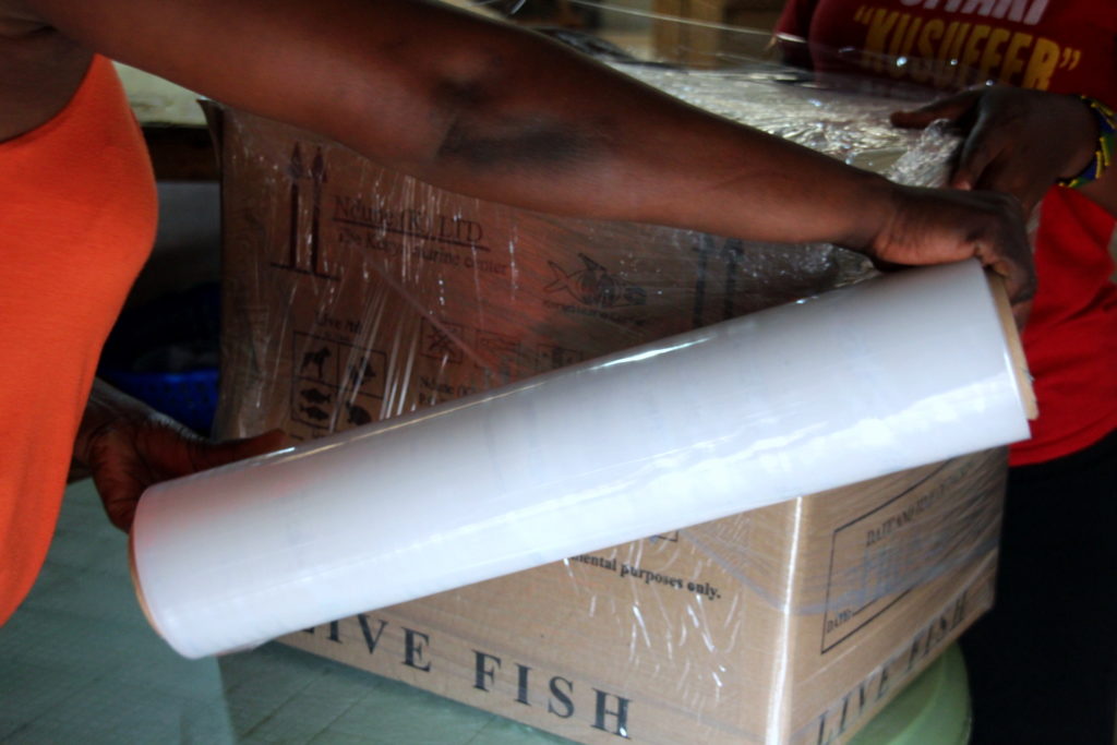 Packaging and Transportation of Live Fish